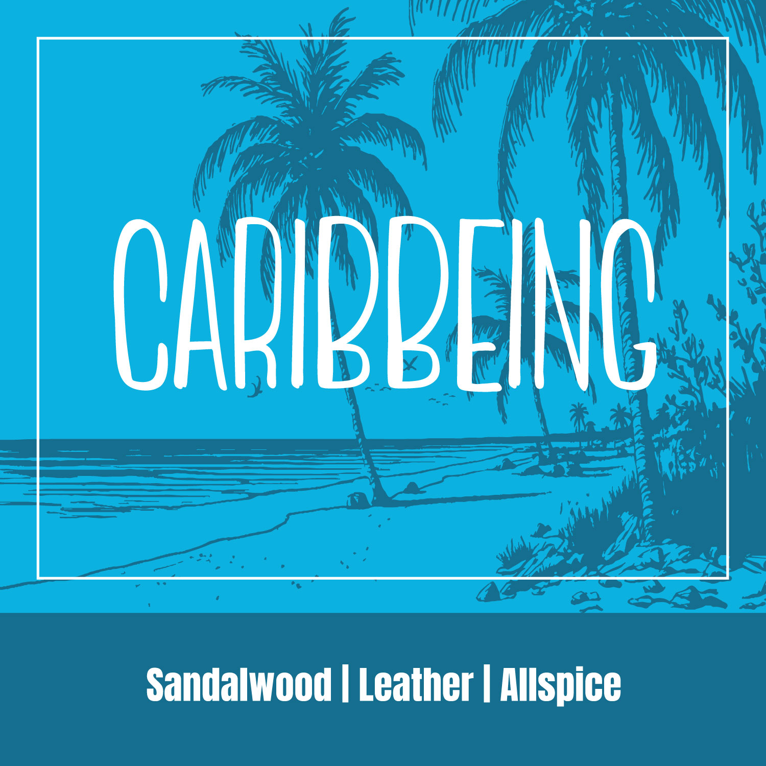 Caribbeing - LitWit